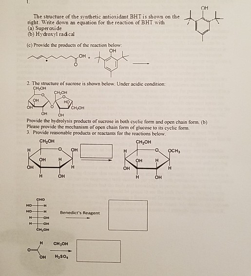 Solved The structure of the synthetic antioxidant BHT is | Chegg.com