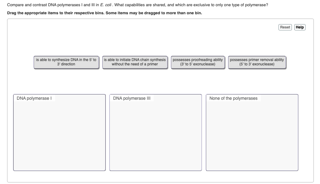Solved Compare And Contrast Dna Polymerases I And Iii In E