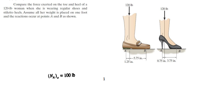 Solved Compare the force exerted on the toe and heel of a | Chegg.com