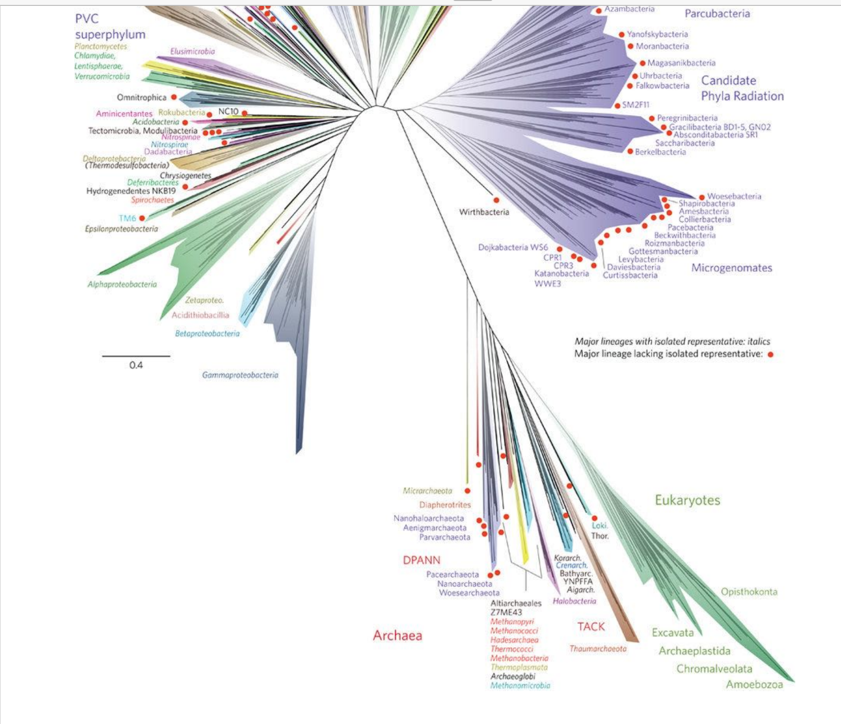 Solved Are there any Archaean groups that share ancestors | Chegg.com