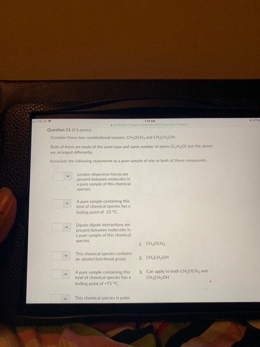 Solved Question 11 (0.5 points Consider these two | Chegg.com Solved Question 11 (0.5 points Consider these two | Chegg.com