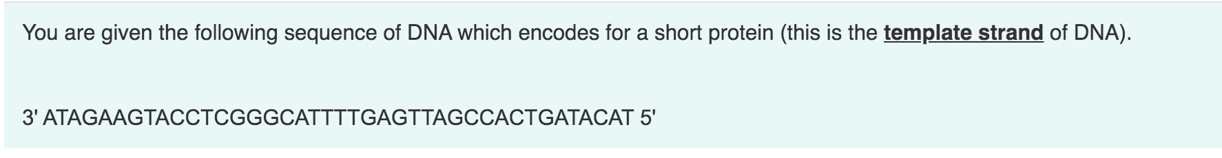 Solved You are given the following sequence of DNA which | Chegg.com