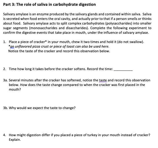 Solved Part 3: The role of saliva in carbohydrate digestion | Chegg.com