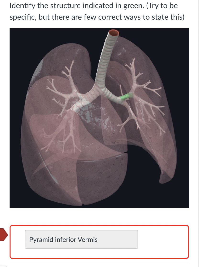 Solved Identify the structure indicated in green. (Try to | Chegg.com