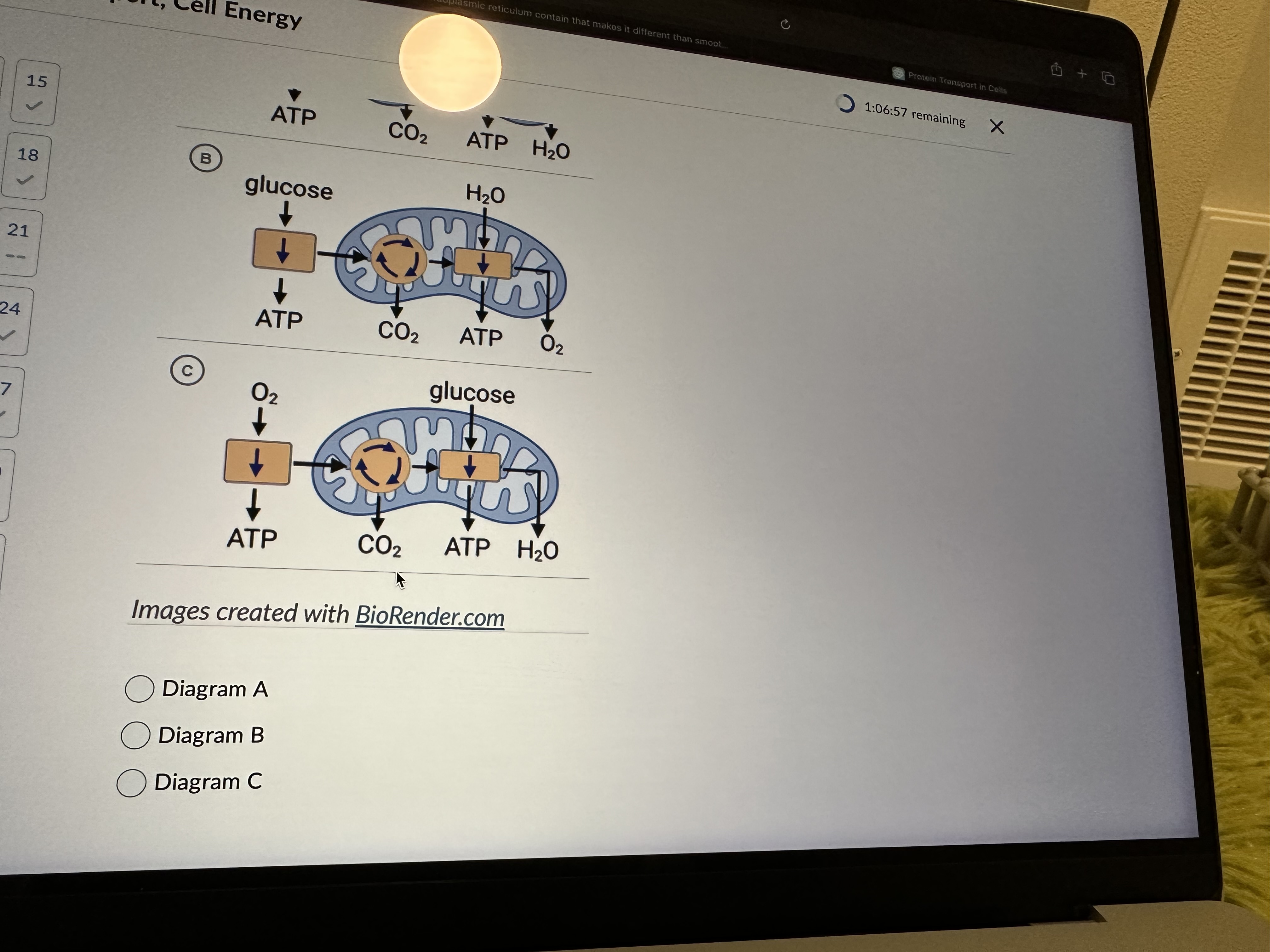 Solved Which diagram most accurately summarizec tha - rocess | Chegg.com
