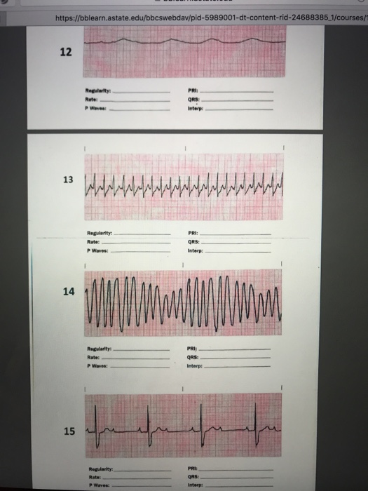 Solved Question | Chegg.com