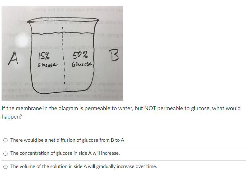 Solved Two solutions are present in a beaker and are | Chegg.com