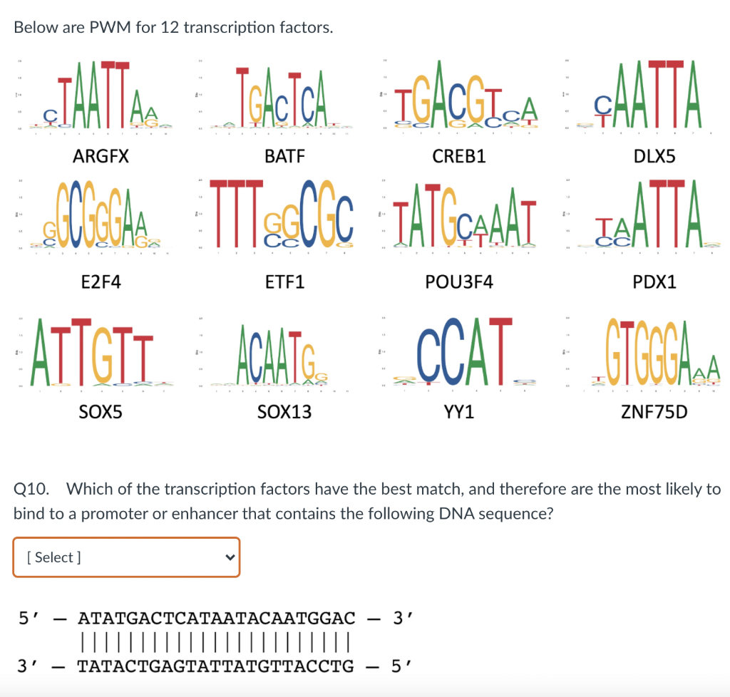 Position Weight Matrices Below is what is known as a | Chegg.com
