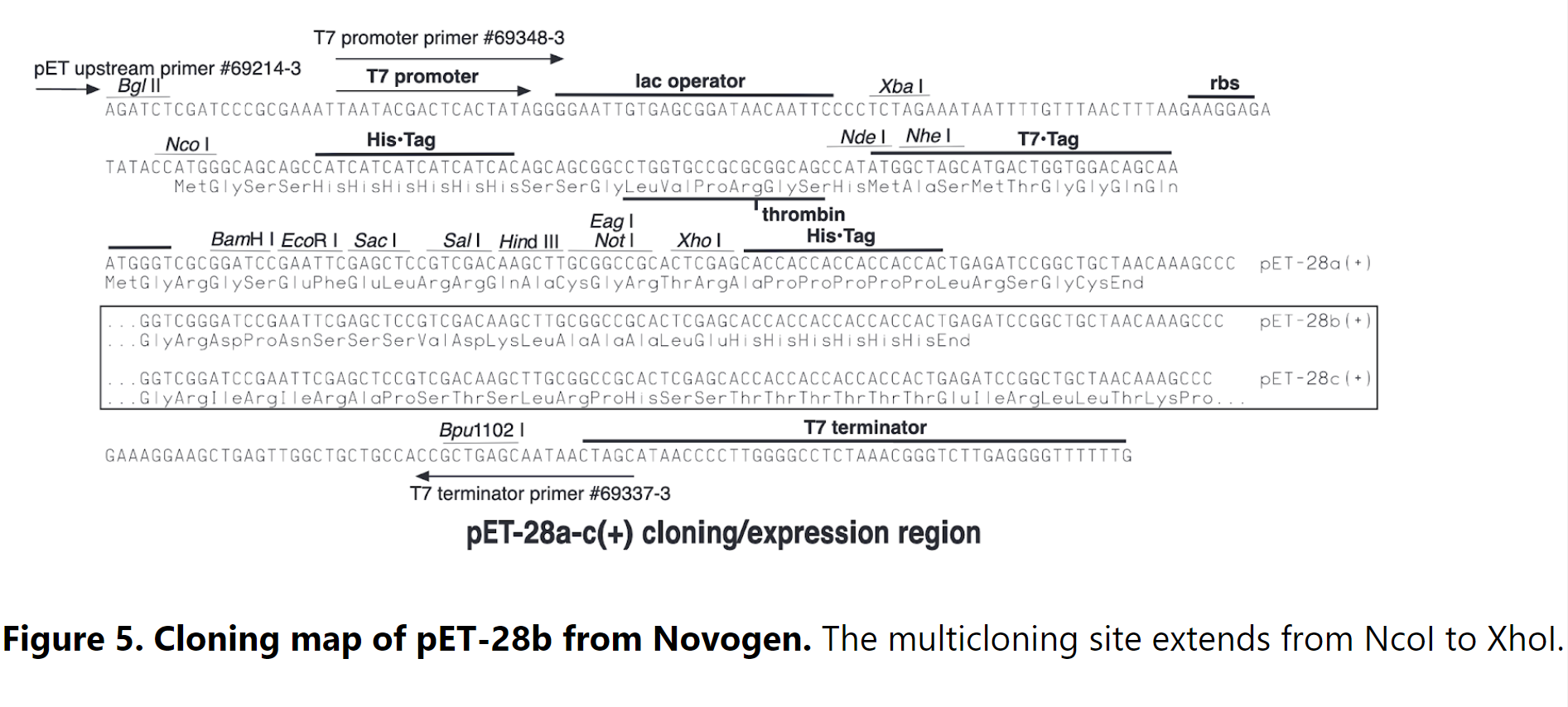 Solved COULD SOMEONE EXPLAIN TO ME WHAT THIS PICTURE IS | Chegg.com