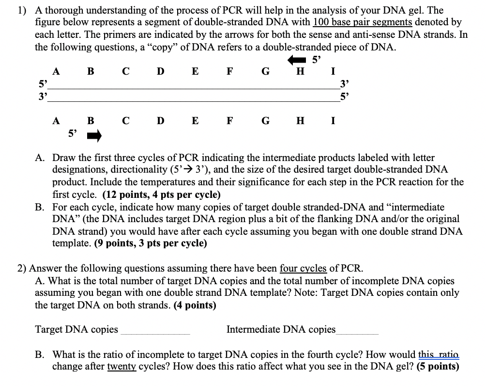 Solved 1) A thorough understanding of the process of PCR | Chegg.com