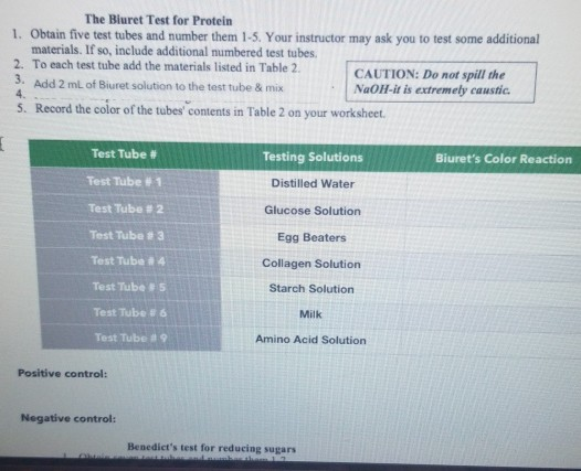 Solved Sudan IV Test for Lipid 1. Obtain five test tubes and | Chegg.com