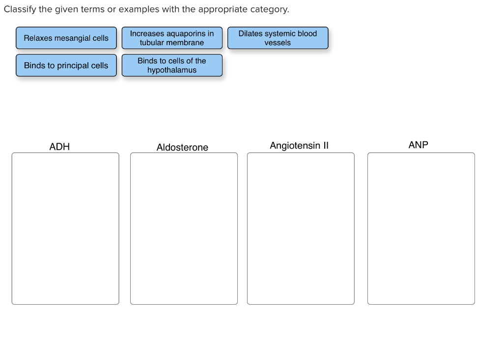 Solved Classify the given terms or examples with the | Chegg.com