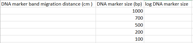 DNA marker (lane 7). You should see five bands in | Chegg.com