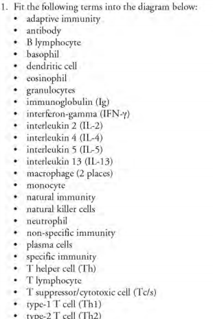 Solved The Organisation of the Immune System ANTIGEN | Chegg.com