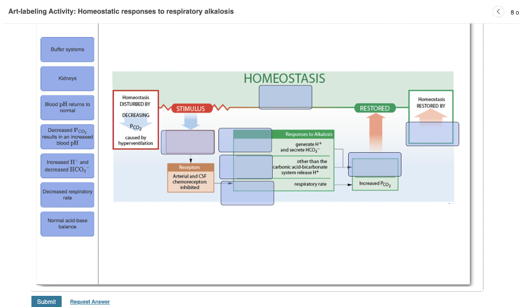 Solved Increased ADH release Normal ECF volume Nat loss in | Chegg.com