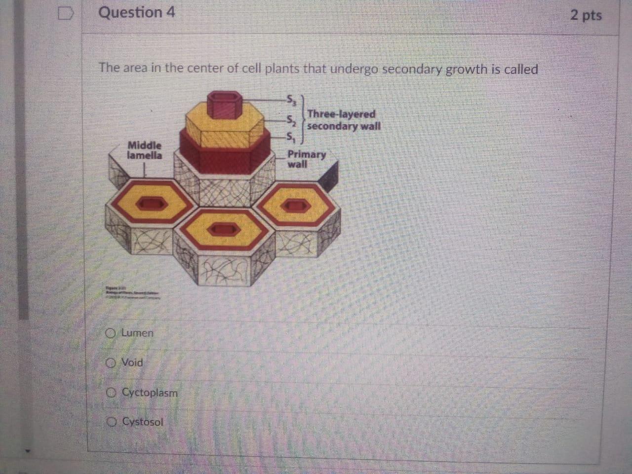 Solved Question 4 2 pts The area in the center of cell | Chegg.com