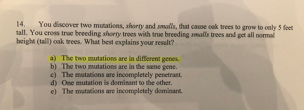 Solved 14. You discover two mutations, shorty and smalls, | Chegg.com