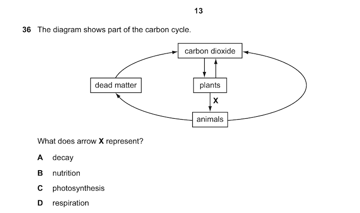 solved-13-36-the-diagram-shows-part-of-the-carbon-cycle-chegg