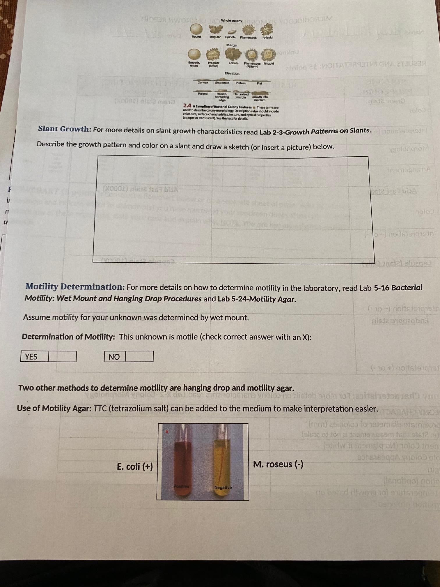 Solved *Slants *growth on each slant was similar in | Chegg.com