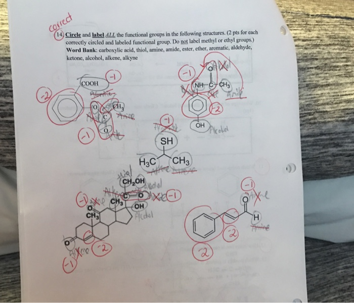 Solved 14) Circle and label ALL the functional groups in the | Chegg.com