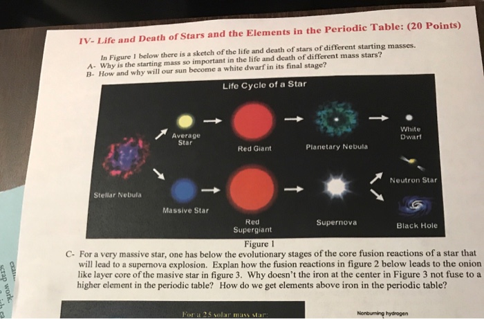 Solved In Figure 1 below there is of the life and death of | Chegg.com