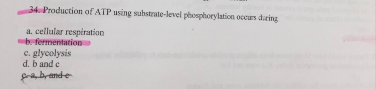 Solved 34. Production of ATP using substrate-level | Chegg.com
