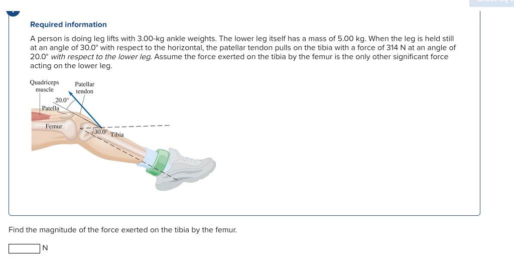 Solved Required information A person is doing leg lifts with | Chegg.com