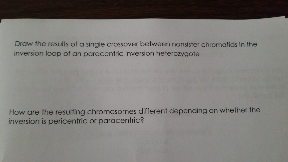 Solved Draw the results of a single crossover between | Chegg.com