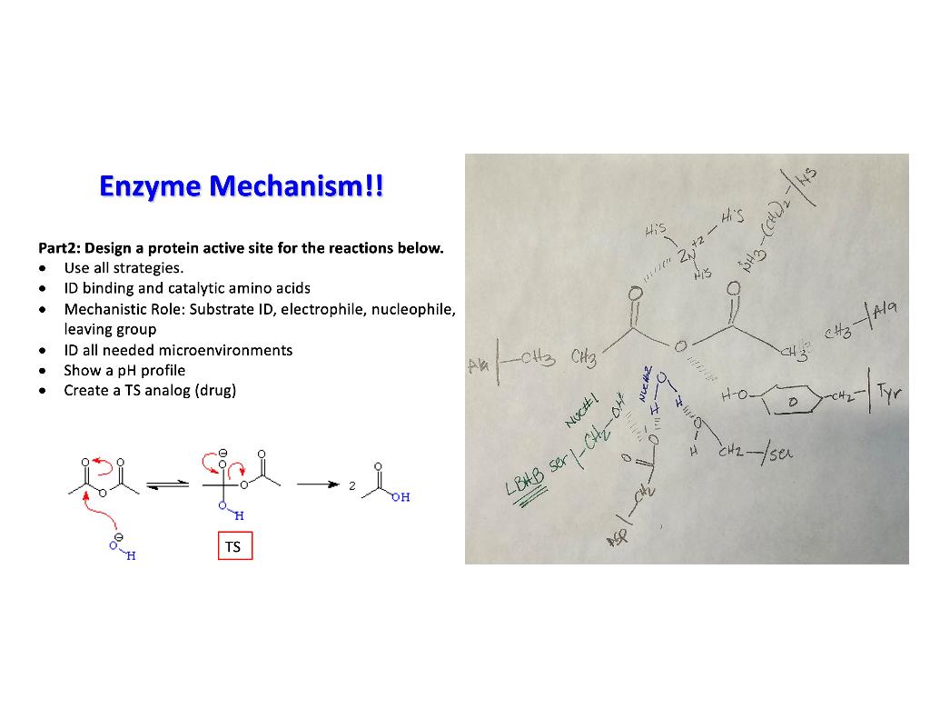 Solve this biochemistry problem! Detailed work needs | Chegg.com