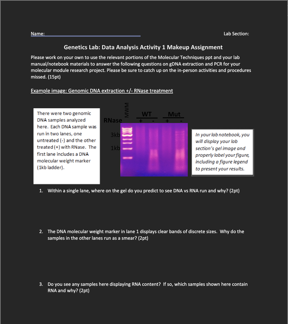Genetics Lab: Data Analysis Activity 1 Makeup | Chegg.com