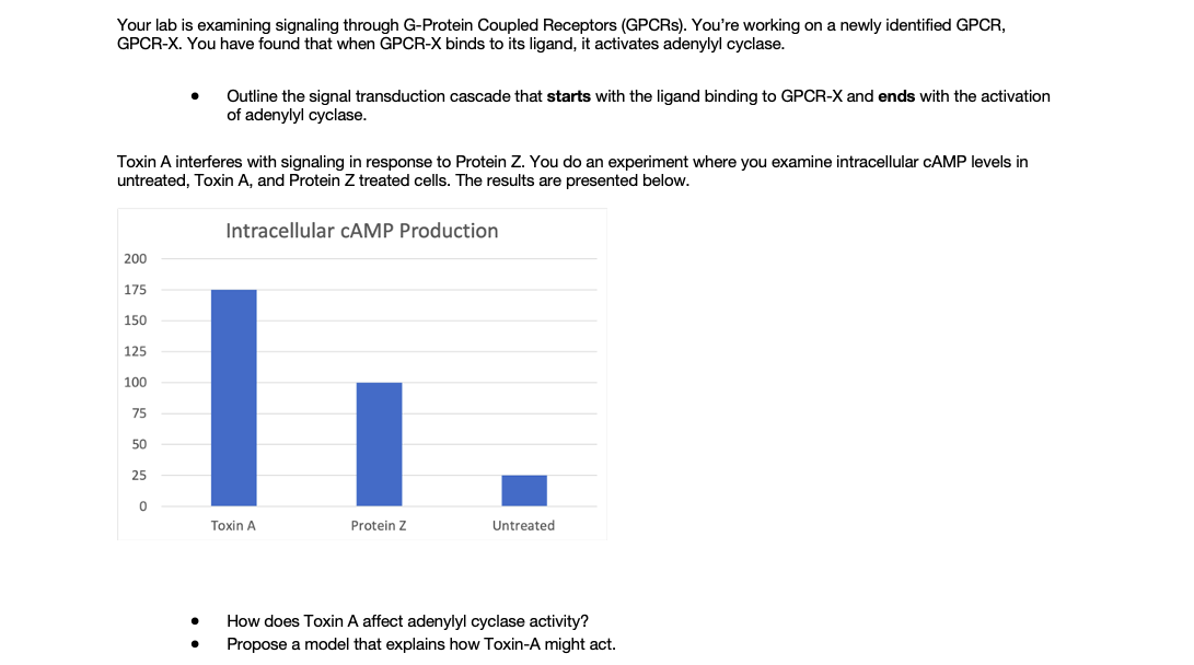 Solved Your lab is examining signaling through G-Protein | Chegg.com