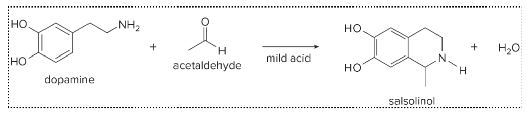 Solved dopamine salsolinol | Chegg.com