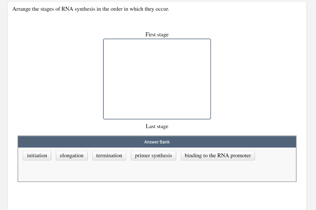 Solved Arrange the stages of RNA synthesis in the order in | Chegg.com