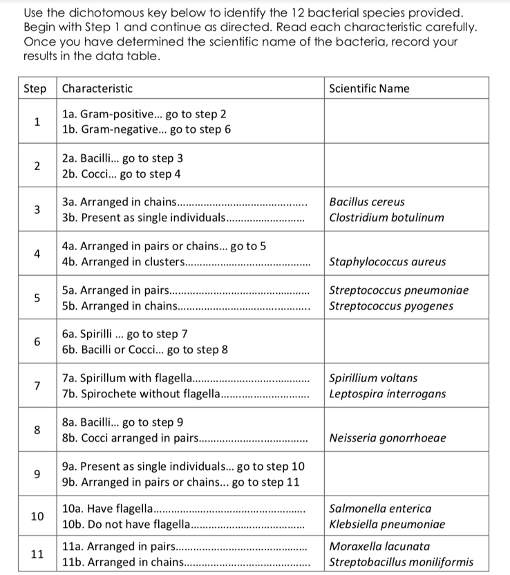 Use the dichotomous key below to identify the 12 | Chegg.com