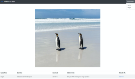 Fetch the data from JSON object. Display bird details | Chegg.com