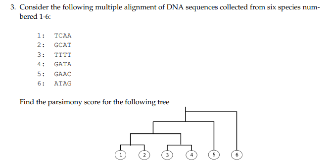 Solved 3. Consider the following multiple alignment of DNA | Chegg.com