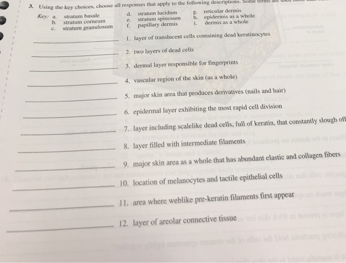 Solved 3. Using the key choices, choose all responses that | Chegg.com