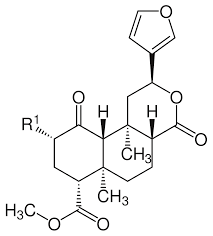 Solved Question: Please label and identify the functional | Chegg.com