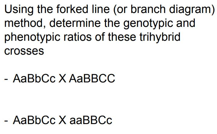 Trihybrid Cross Forked Line Method