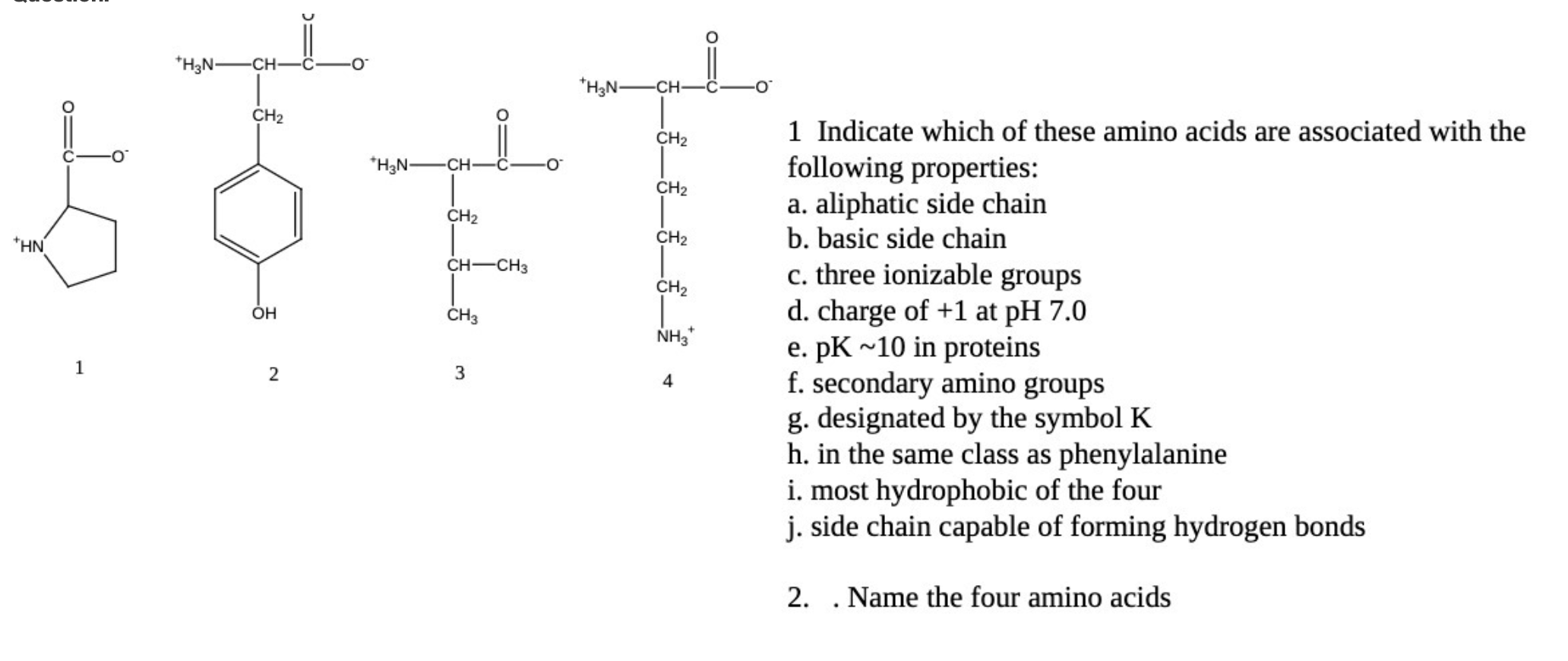 Solved *H3N— CH— —0 +H3N—CH—C—0 CH2 o= +H3N— CH-0— 0 HN | Chegg.com