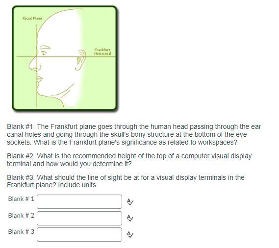 Solved Facial Plane Frankfurt Horizontal CA foto Blank #1. | Chegg.com