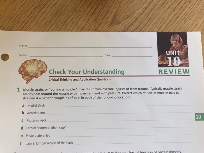 Solved Name UNIT Section Date Check Your Understanding | Chegg.com