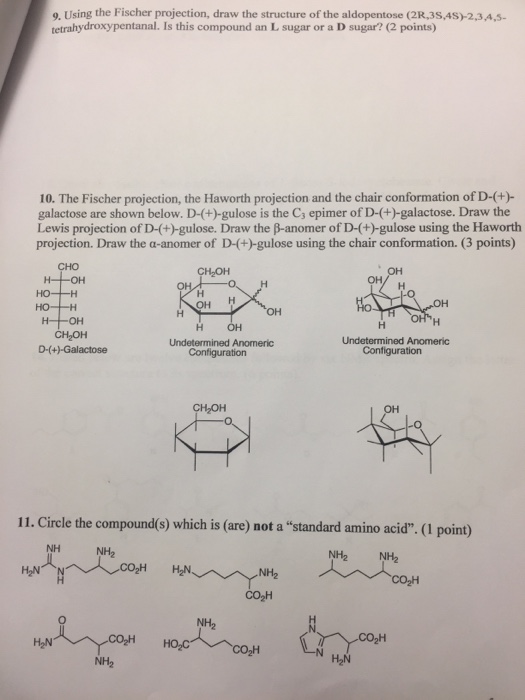 Solved Using the Fischer projection, draw the structure of | Chegg.com