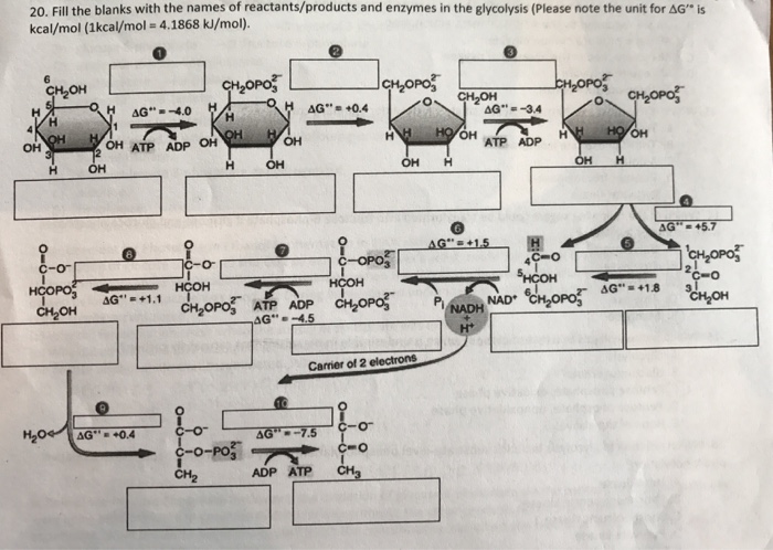 Solved Fill the blanks with the names of reactants/products | Chegg.com