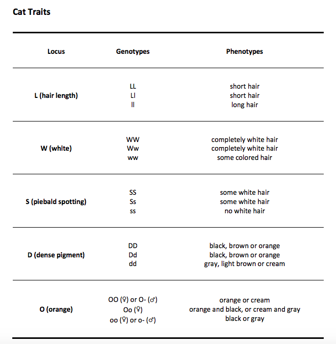 Use the table of genetic traits for cats below to | Chegg.com