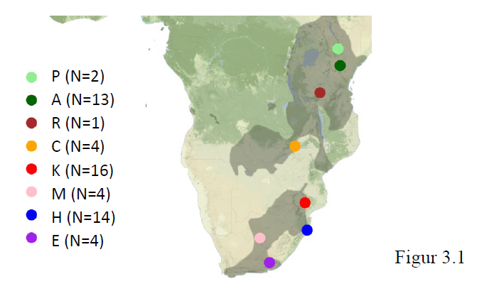 Solved genetic assignment:The species African buffalo | Chegg.com