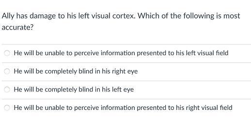 Solved Ally has damage to his left visual cortex. Which of | Chegg.com