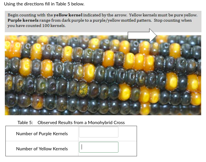 Solved Conduct a Chi Square analysis of the results from | Chegg.com