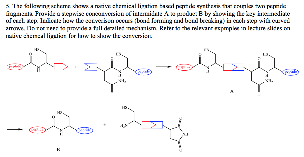 Solved 5. The following scheme shows a native chemical | Chegg.com