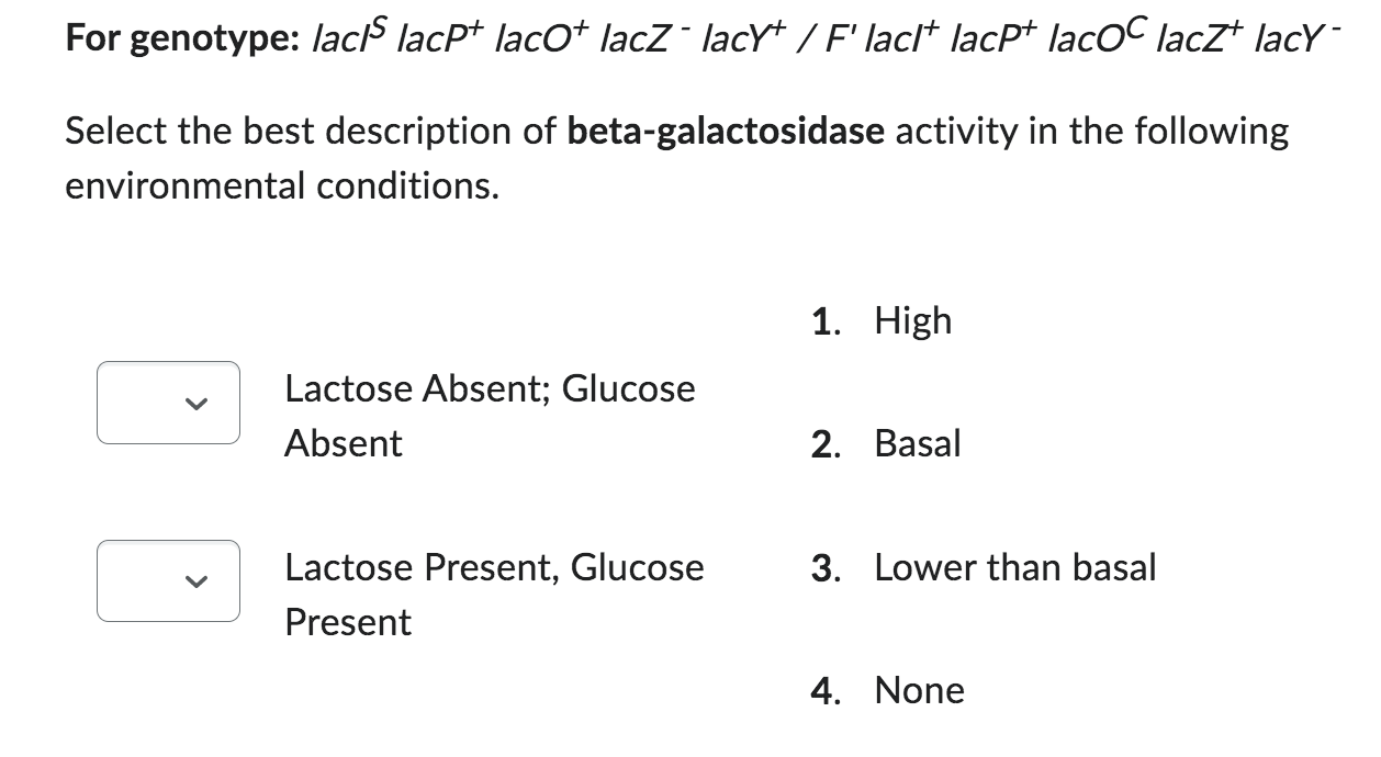 Solved For genotype: laclS lacP+ lacO+ lacZ¯ lacY+ / F' | Chegg.com